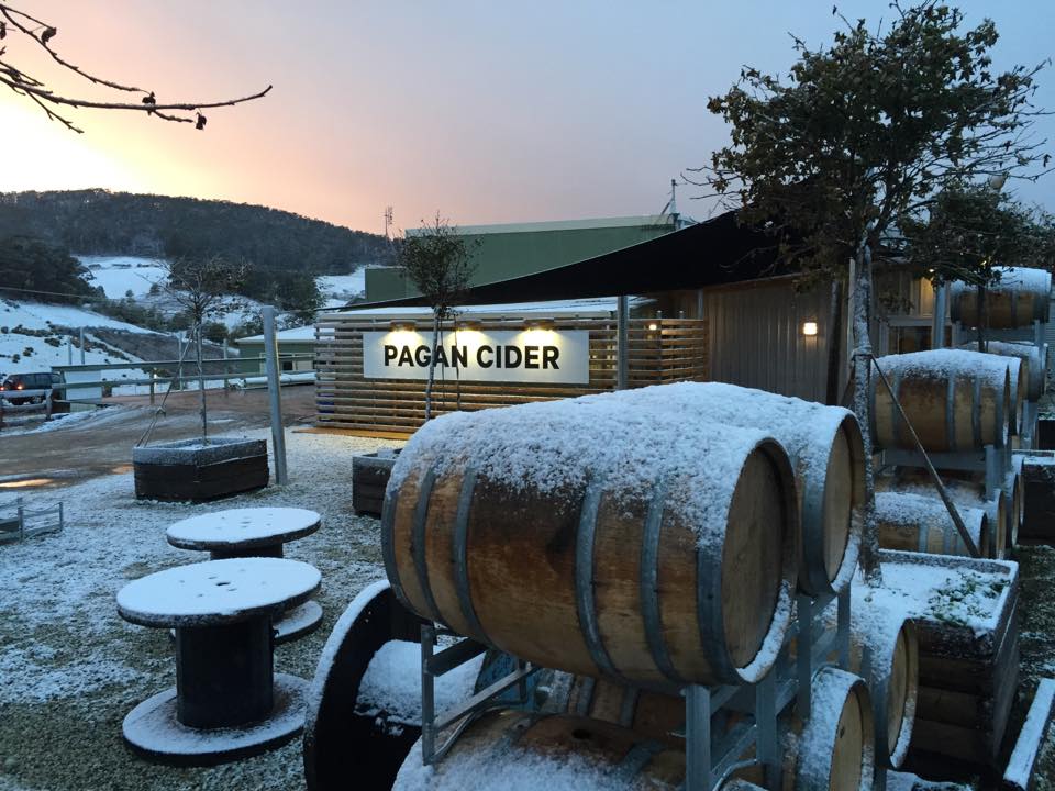 Pagan Cider – Valhalla Distributing